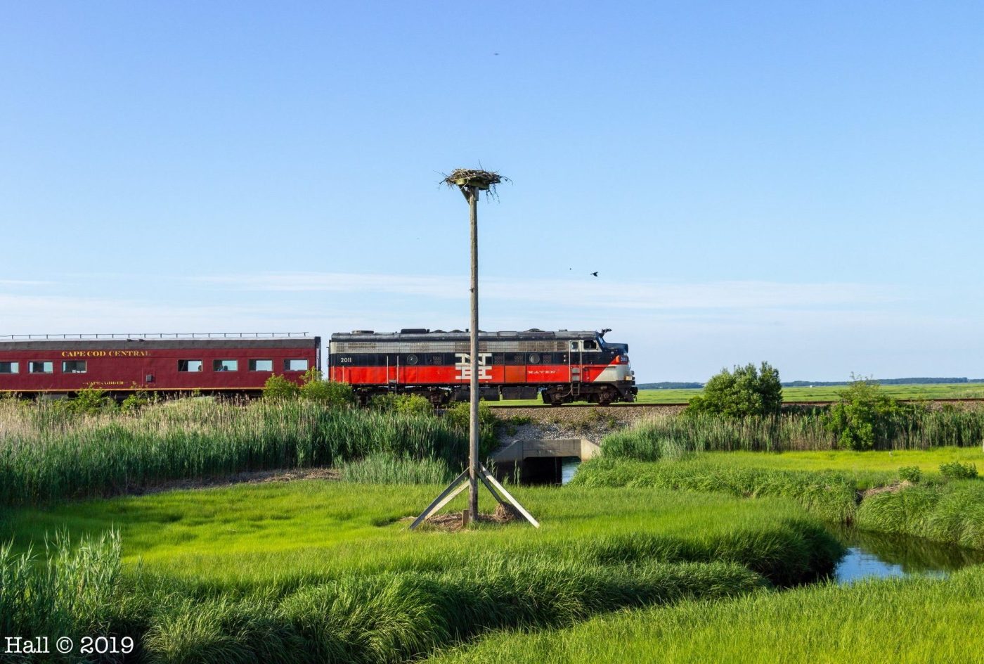 Sunday Brunch Train | Cape Cod Central Railroad
